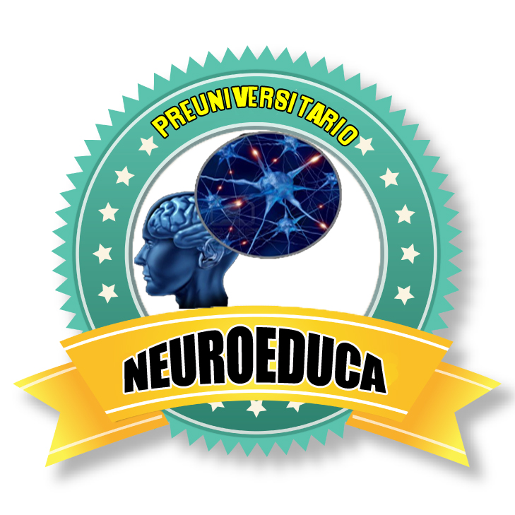 GRUPO NEUROEDUCA